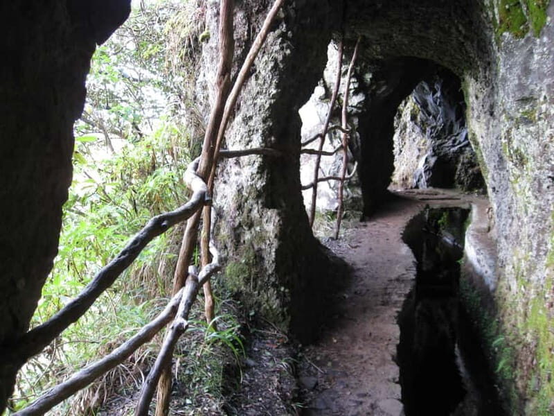 Ribeiro Frio / Portela Full day hike - A Closer Look at the Full-Day Hike Experience