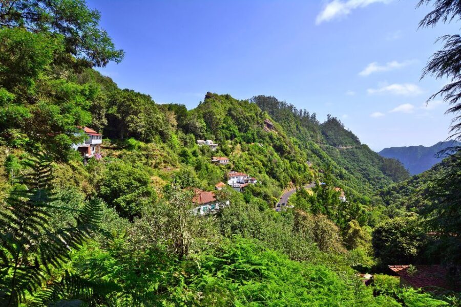 Ribeiro Frio / Portela - Levada Walk - Why This Tour Might Be Perfect for You