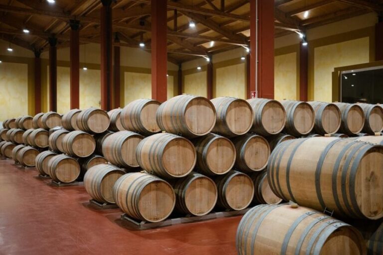 Ribera del Duero: Experience, vineyard, and 4x4 ride, plus an aperitif and tasting. - The 4x4 Adventure and Viewpoint