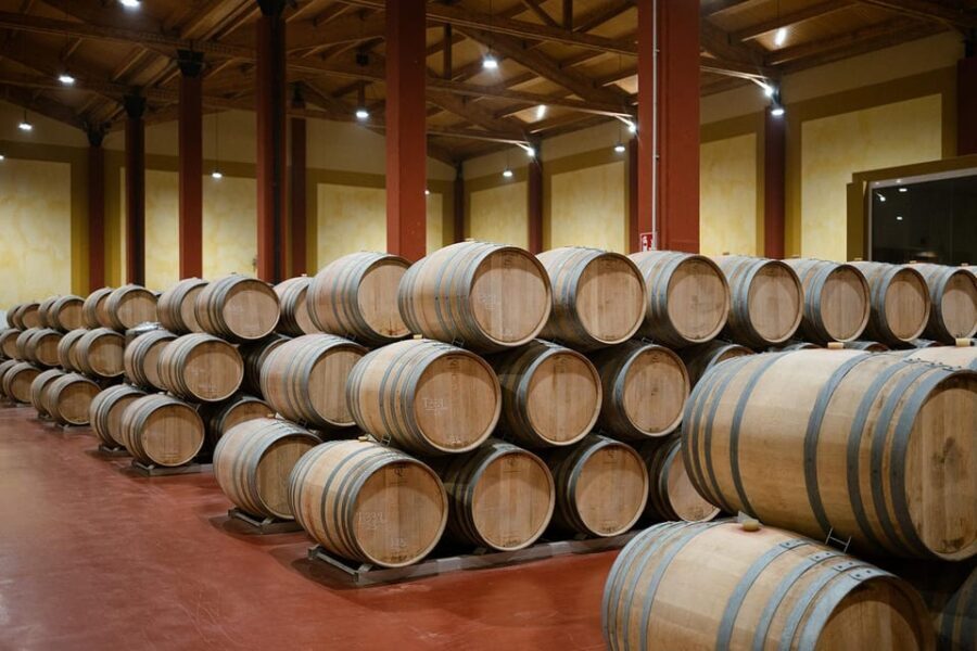 Ribera del Duero: Experience, vineyard, and 4x4 ride, plus an aperitif and tasting. - The 4x4 Adventure and Viewpoint