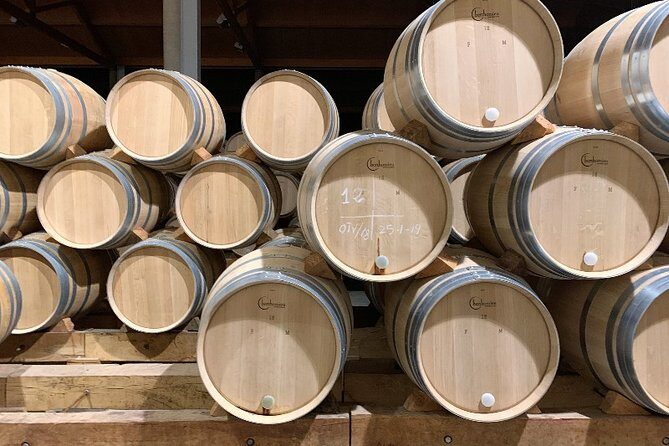 Ribera del Duero Small Group Tour: Tapas & Wine Tasting - The Wineries: What Makes Them Special