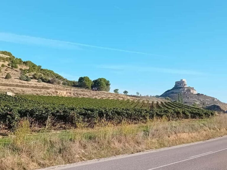 Ribera del Duero Tour From Madrid: 2 Wineries with Transport - Why This Tour Offers Excellent Value