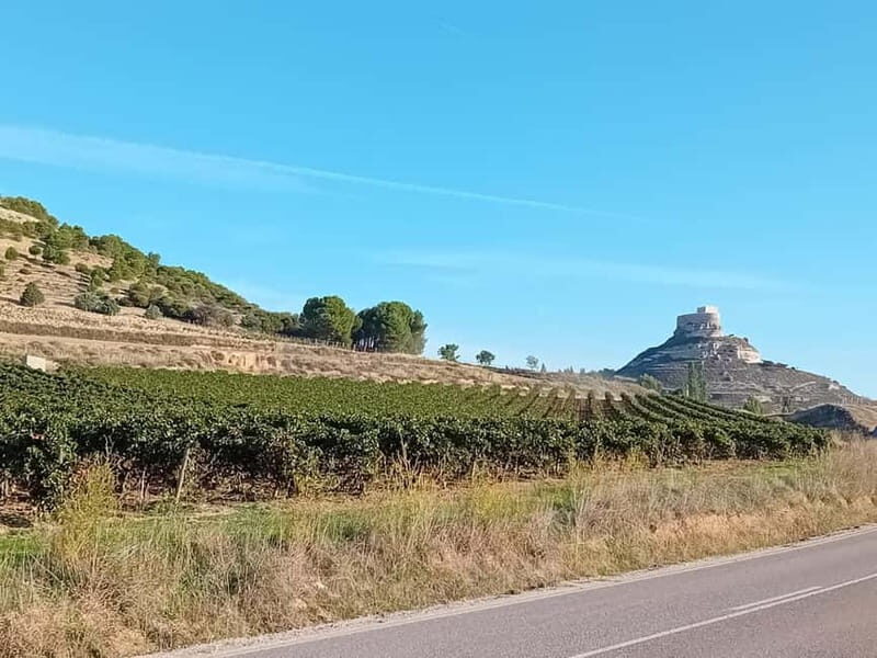 Ribera del Duero Tour From Madrid: 2 Wineries with Transport - Why This Tour Offers Excellent Value