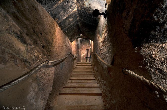 Ribera del Duero Underground Cellar & Wine Tasting Experience - Detailed Breakdown of the Itinerary