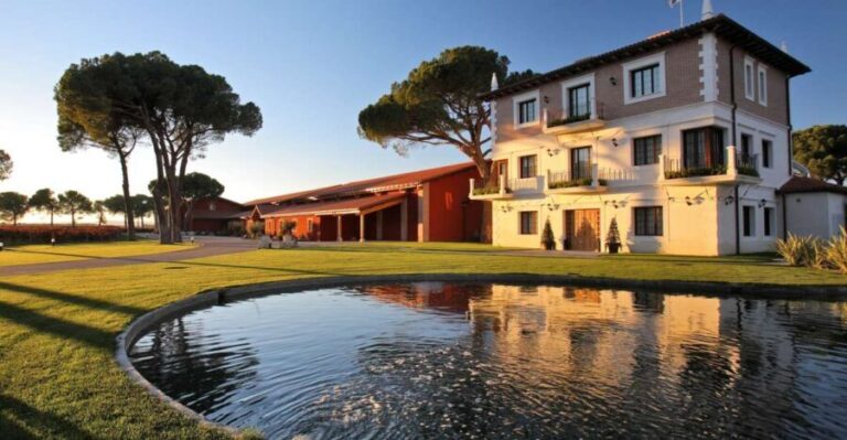 Ribera del Duero Winery Tour & Wine Tasting Near Valladolid - Who Is This Tour Best For?