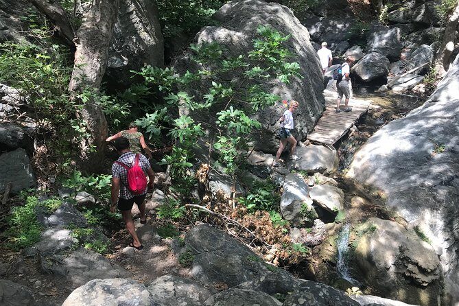 Richtis Waterfall, History, Azoria, OliveTasting, NorthCoast - The Experience and What You’ll Get