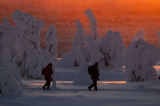 Riisitunturi Snow Monsters Winter Hike from Rovaniemi with Lunch - What’s Included and What to Consider