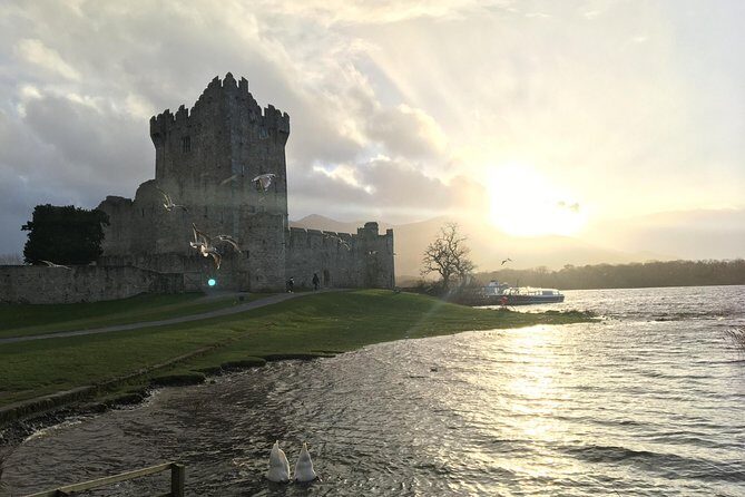 Ring of Kerry Tour Private Chauffeur Driven From Killarney - Who Should Consider This Tour?