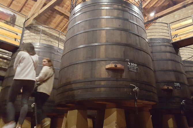 Rioja Full Experience Tour from San Sebastian with Lunch - What Makes This Tour Stand Out?