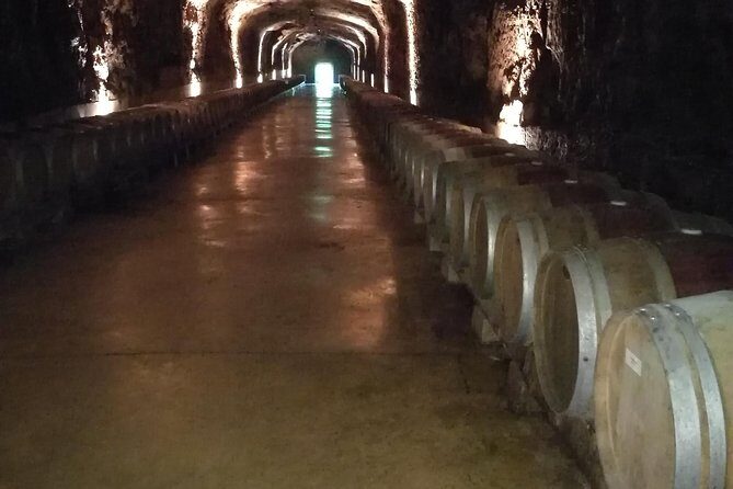 Rioja Wine Private Tour from San Sebastian - The Sum Up