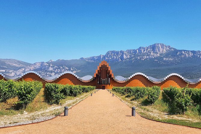 Rioja Wine Route with winery owner - Who Would Love This Tour?