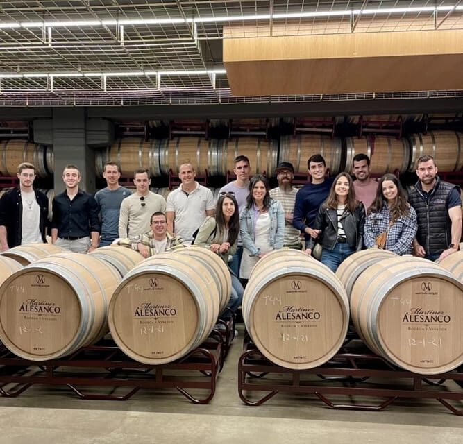 Rioja: Wine tasting and sampling at the Martínez Alesanco family winery - An In-Depth Look at the Rioja Wine Tour