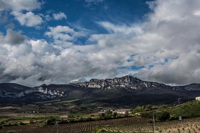 Rioja Wine Tour: 2 Wineries From Pamplona - FAQ