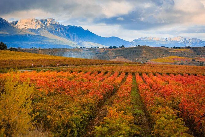 Rioja Wine Tour - Practical Details: What You Need to Know
