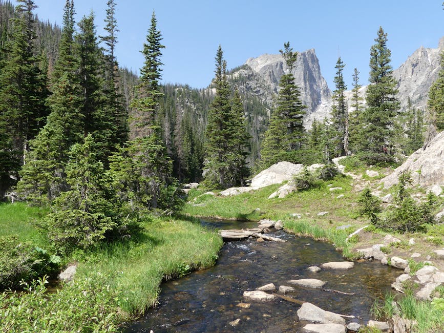 Creek flowing through Rocky Mountain National Park pine forest
