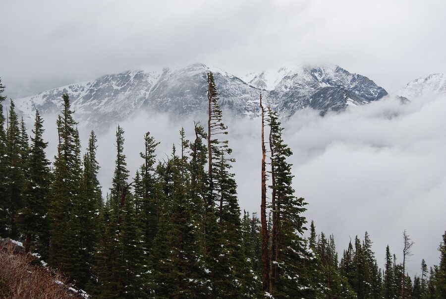 Mummy Range in fog seen from Trail Ridge Road