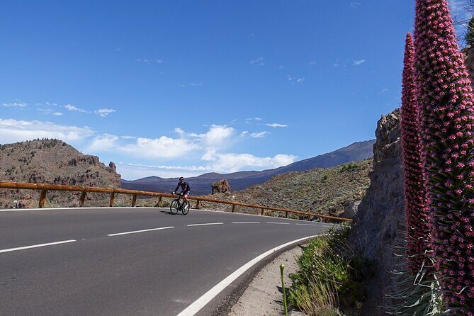 Road Cycling Tenerife - Teide Route - The Physical Challenge and Who It’s For