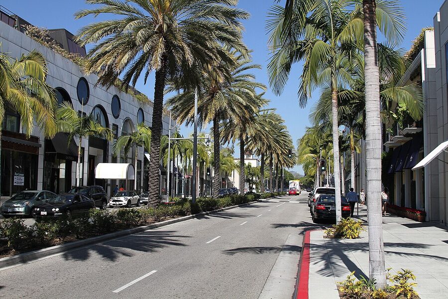 Rodeo Drive Beverly Hills storefronts and palm trees