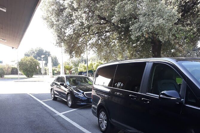 Rome Countryside Delights: Exclusive Wine Tasting Tour - How the Experience Feels in Practice