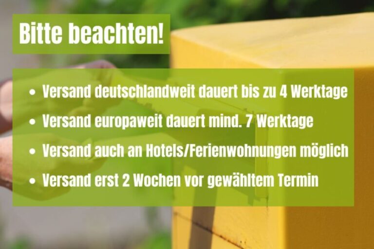 Rome: Scavenger Hunt Self-Guided Tour - Authentic Experiences and Traveler Insights