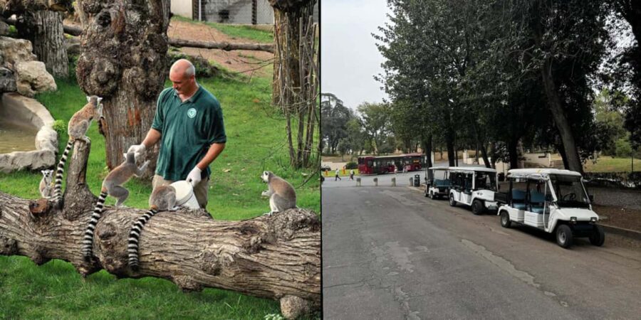 Rome: Zoo entry ticket + Villa Borghese Golf Cart Tour - Who Is This Tour For?