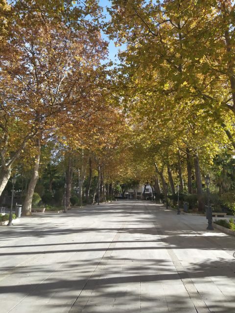 Ronda: 2-Hour Private Walking Tour - Practical Details & What to Keep in Mind