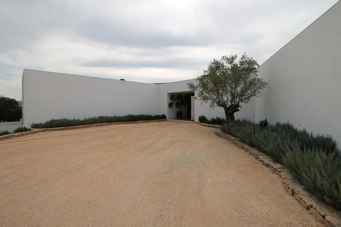 Ronda Private Full Day Wine Tour - What Sets This Tour Apart