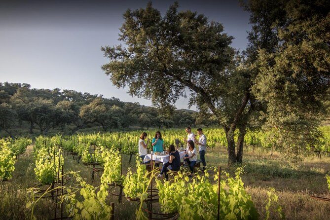 Ronda Private Wine Tour and Tapas from Marbella - The Winery: A Closer Look at Finca La Melonera