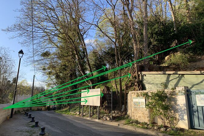 Roots the Path of the Last Table - Detailed Review of the Roots the Path of the Last Table Tour