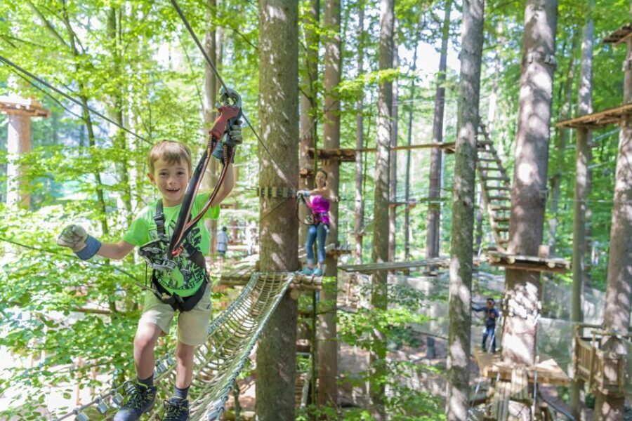 Rope Park Interlaken: Climbing Adventure with Entry Ticket - Practical Details: Planning Your Visit