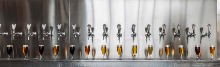 Rotterdam: Beer Brewery 'Noordt' Beer Tasting - What to Expect at Noordt Brewery Beer Tasting
