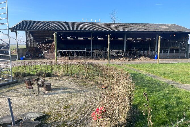 Rotterdam- Kinderdijk -Cheese Farm Experience min 4 max 100 PP - Practical Tips for the Tour