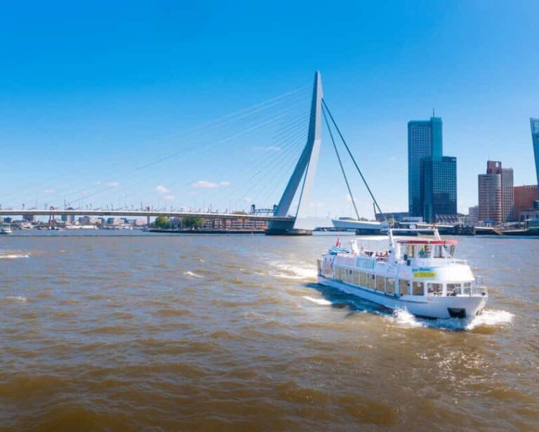 Rotterdam: Summer Cocktail Cruise - Authentic Insights from Reviews