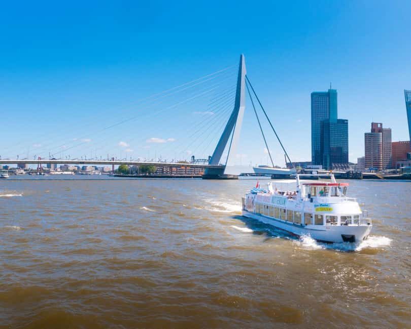 Rotterdam: Summer Cocktail Cruise - Authentic Insights from Reviews