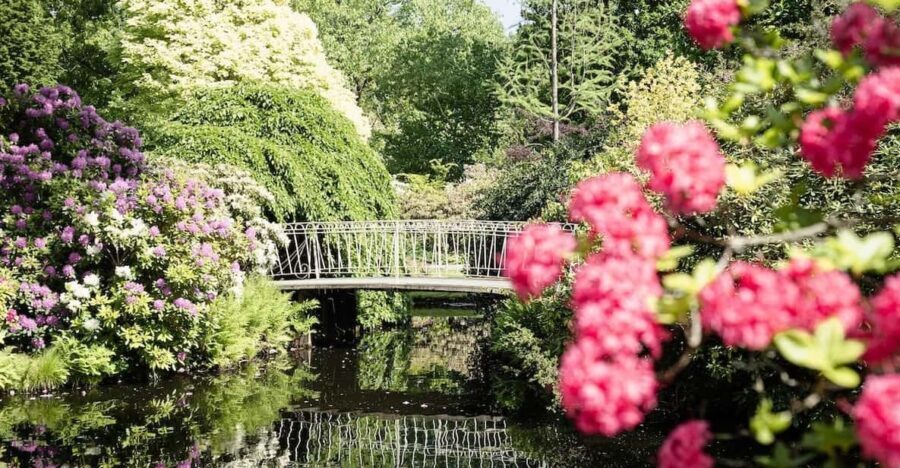 Rotterdam: Trompenburg Botanical Gardens Entry Ticket - The Practicalities: How to Make the Most of Your Visit