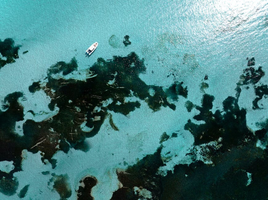 Aerial of motorboat on turquoise Rottnest waters