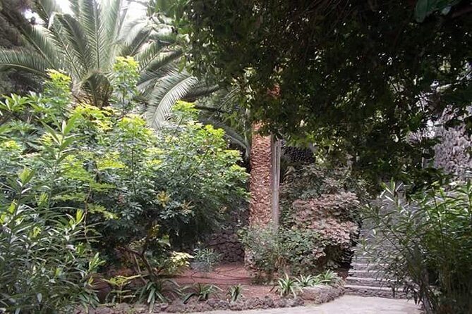 Round The Island Trip Without Teide VIP TOUR - FAQ