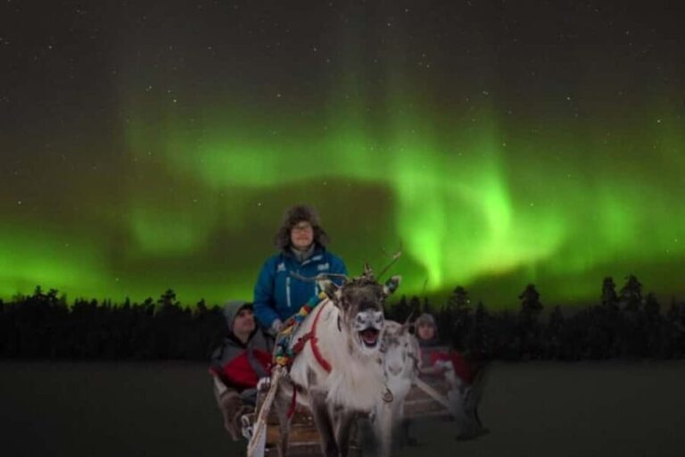 Rovaniemi: 2km Aurora Reindeer Safari Through the Forest - What Makes This Tour Stand Out?