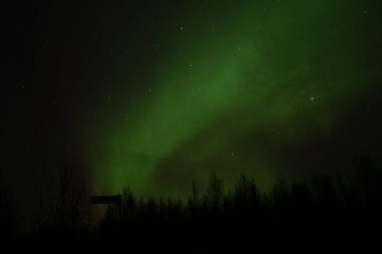 Rovaniemi: 97.3% Success Rate Aurora Group Tour with Photos - The Experience in Detail