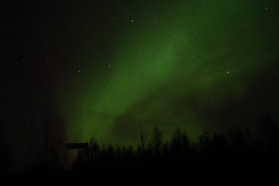 Rovaniemi: 97.3% Success Rate Aurora Group Tour with Photos - The Experience in Detail