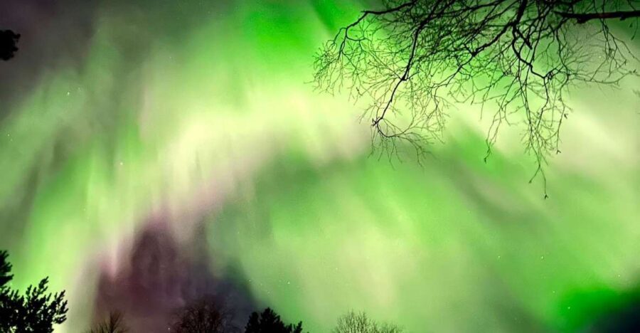 Rovaniemi: Aurora BBQ at the Best Spots - Who Should Book This Tour?