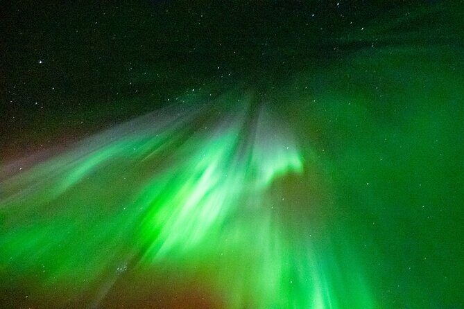 Rovaniemi: Aurora BBQ at the Best Spots - Why This Tour is Perfect for Different Travelers