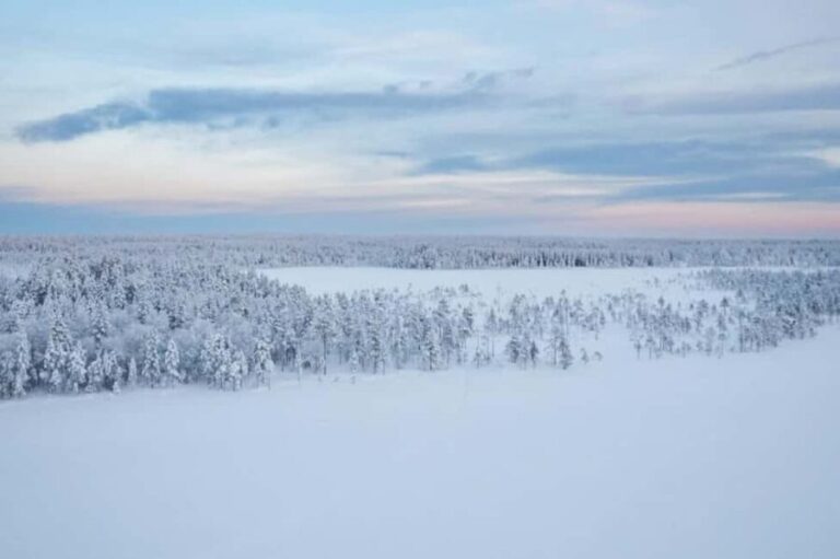 Rovaniemi: Cross-Country Skiing Adventure with Guide - The Value of This Tour