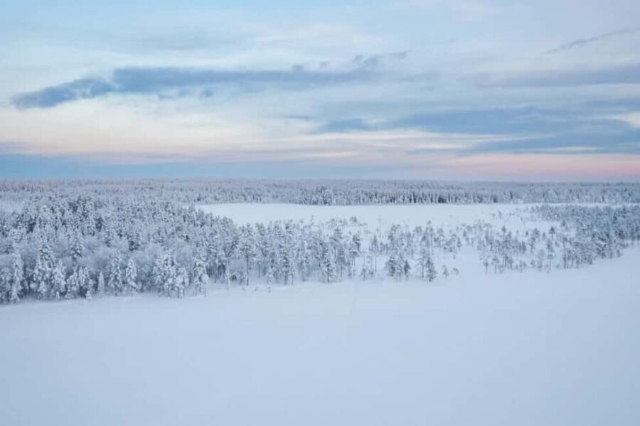 Rovaniemi: Cross-Country Skiing Adventure with Guide - The Value of This Tour