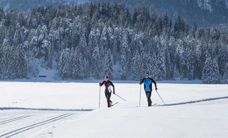 Rovaniemi: Cross Country Wilderness Ski Adventure - Who Would Love This Tour?