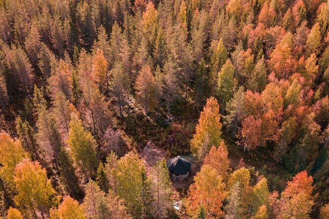 Rovaniemi: Drive Your Own Husky Team (Autumn) & BBQ - Transportation & Group Size