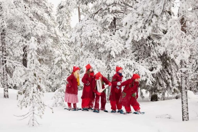Rovaniemi: Elf Training Center - The Value of the Experience