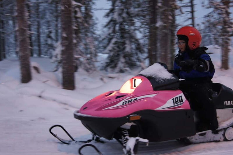 Rovaniemi: Family Snowmobile Safari - Key Points