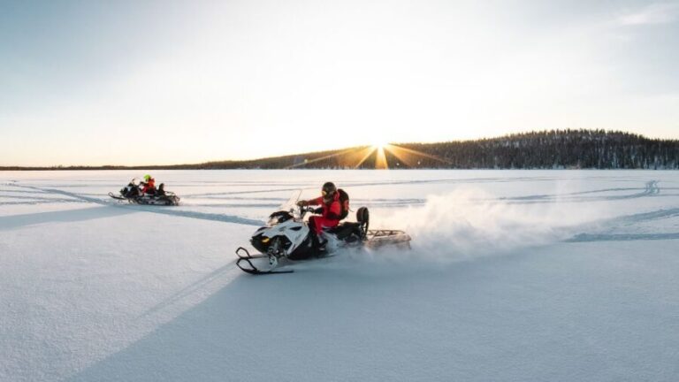 Rovaniemi: Full-Day Snowmobile Safari into the Wilderness - Who This Tour Is Perfect For