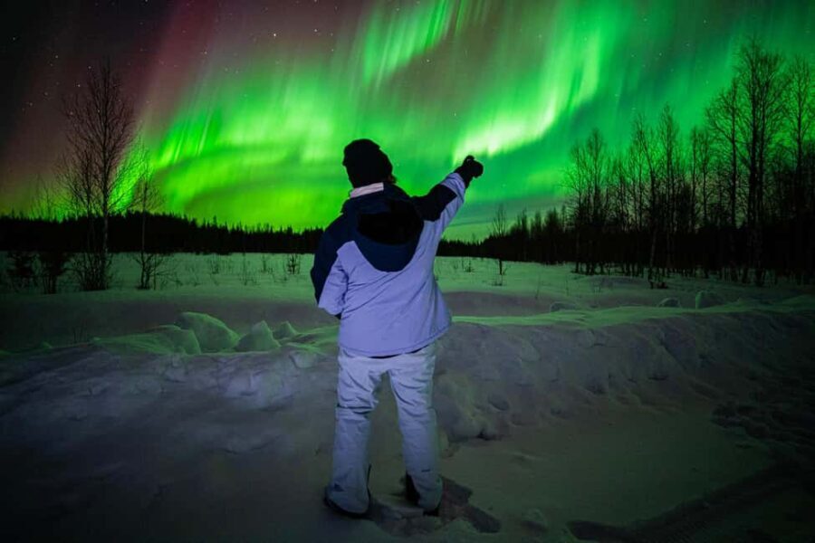Rovaniemi: Guaranteed Aurora Hunt with Local Guides & Photos - Who Will Love This Tour?